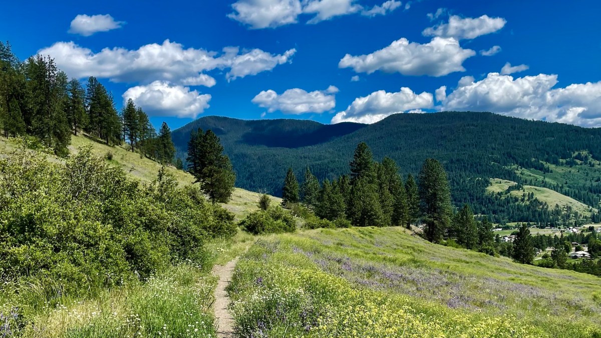 Discover the Powerful Heritage and History of Boundary Country – THE ...